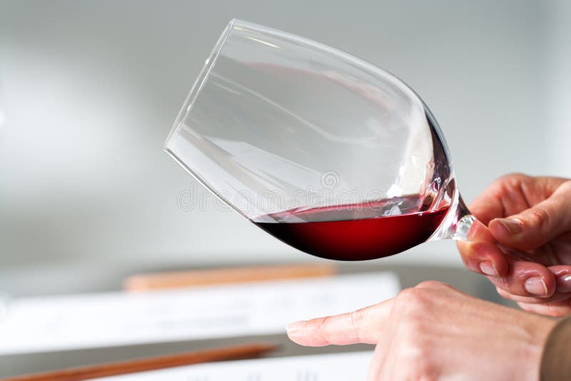 Hands Testing Wine Density at Tasting. Stock Photo - Image of documents ...