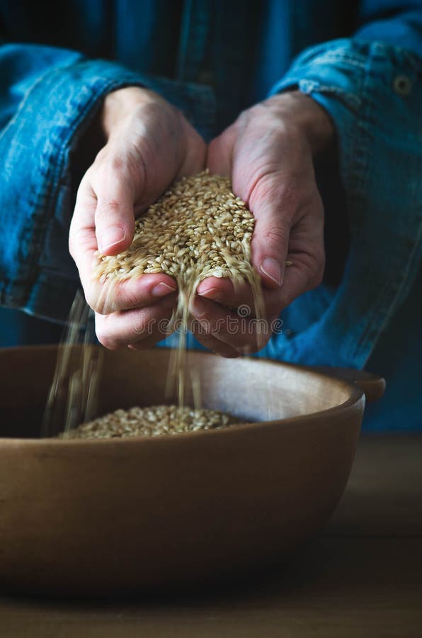 Yamani Rice Mixed with Sauteed Onions, Leek, and Carrots Stock Image ...