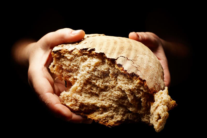 Hands with Torn Loaf of Bread Stock Photo - Image of wheat, loaf: 13655012