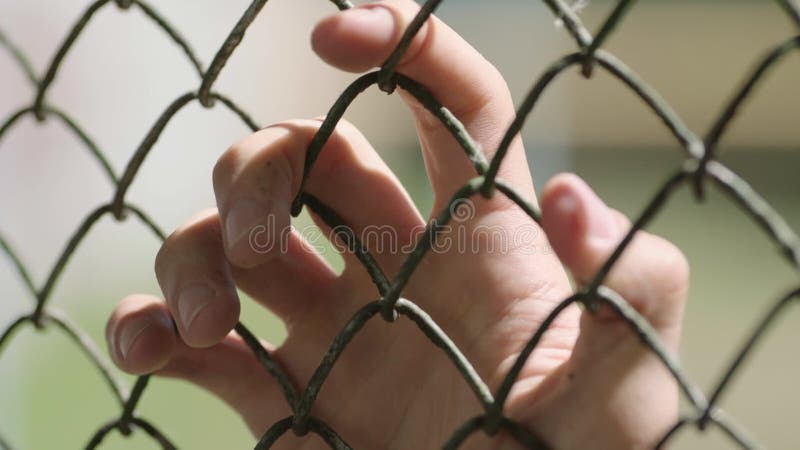 Hands Touching Each Other through the Metal Mesh of the Fence Stock ...
