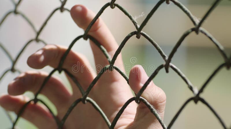 Hands Touching Each Other through the Metal Mesh of the Fence Stock ...