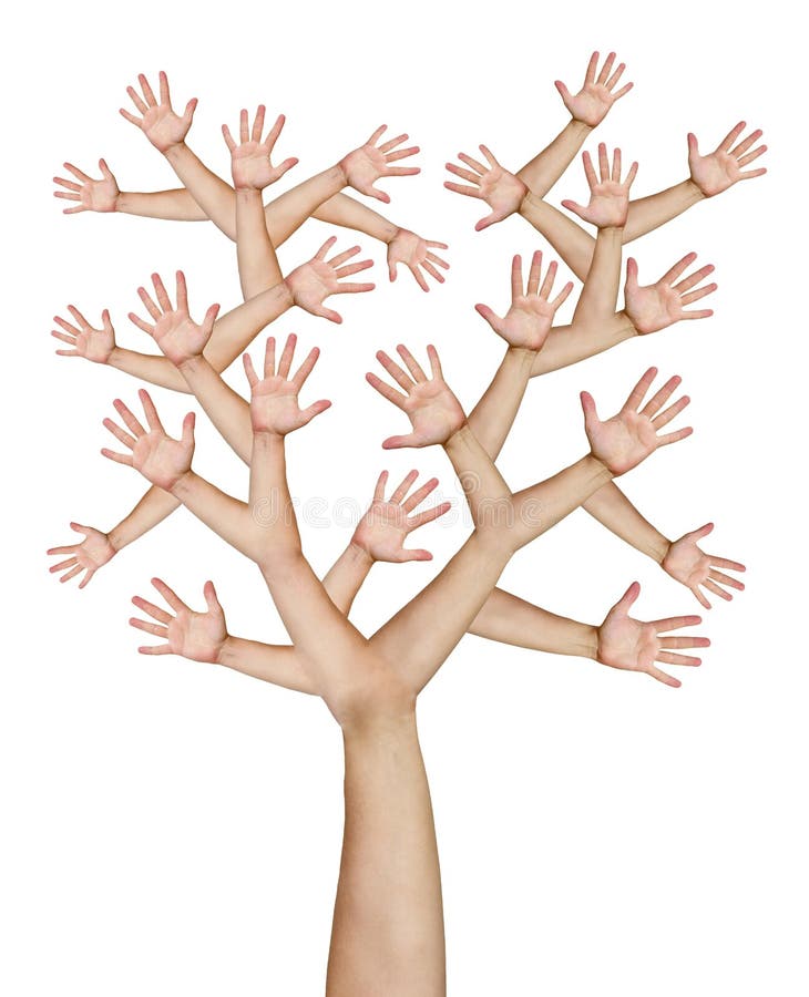 Isolated Diversity Tree Hands Stock Photos - Free & Royalty-Free Stock ...