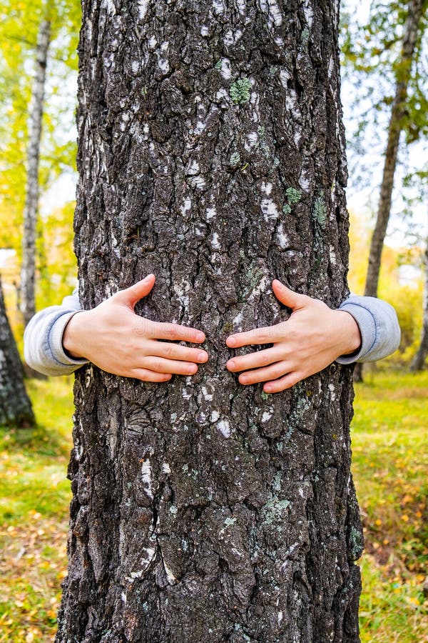 Hands on the Tree stock photo. Image of hands, ecology - 225782304