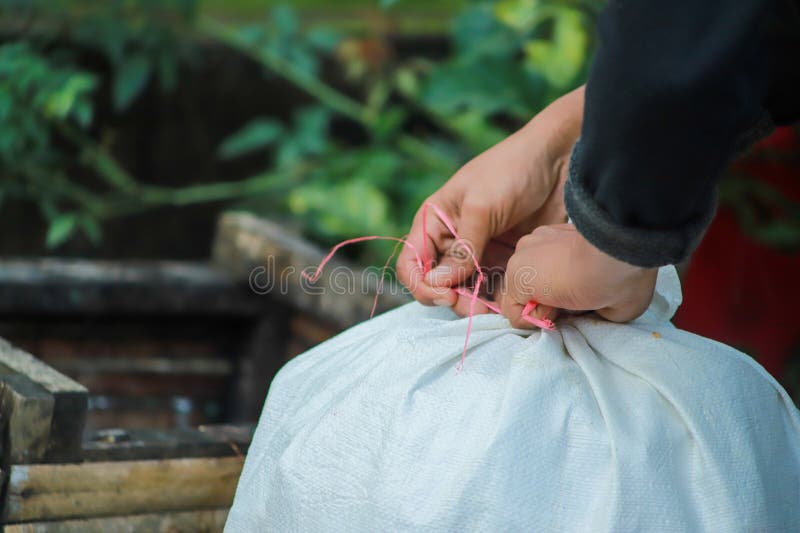 Hands Tying a White Sack with Pink Plastic Rope Stock Image - Image of ...