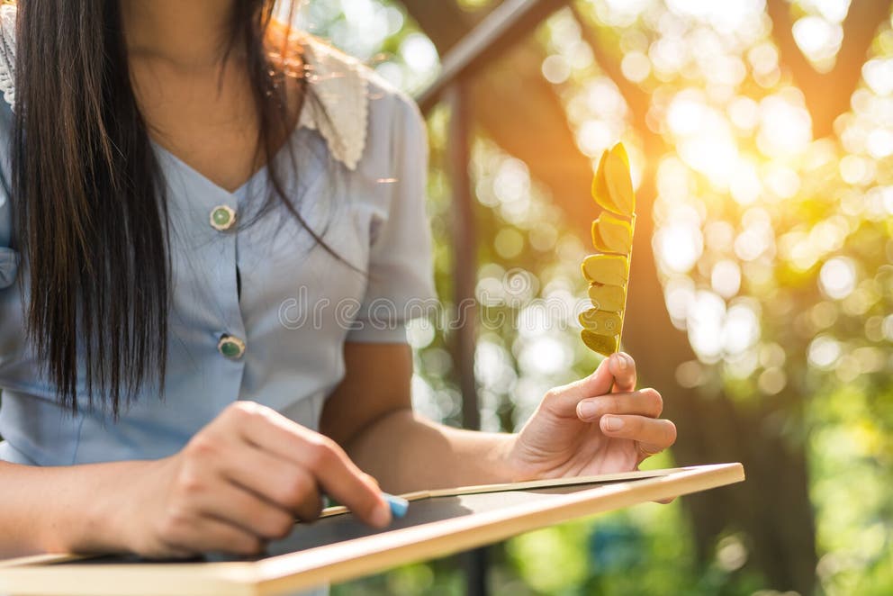 Hands Use Chalk for Drawing, Writing Balckboard in the Parks. Education ...