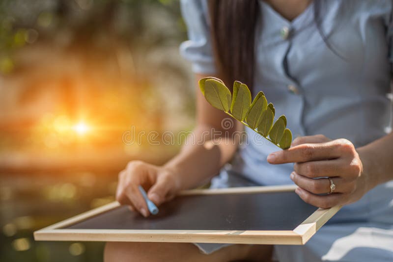 Hands Use Chalk for Drawing, Writing Balckboard in the Parks. Education ...