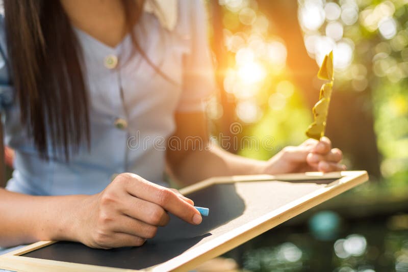 Hands Use Chalk for Drawing, Writing Balckboard in the Parks. Education ...