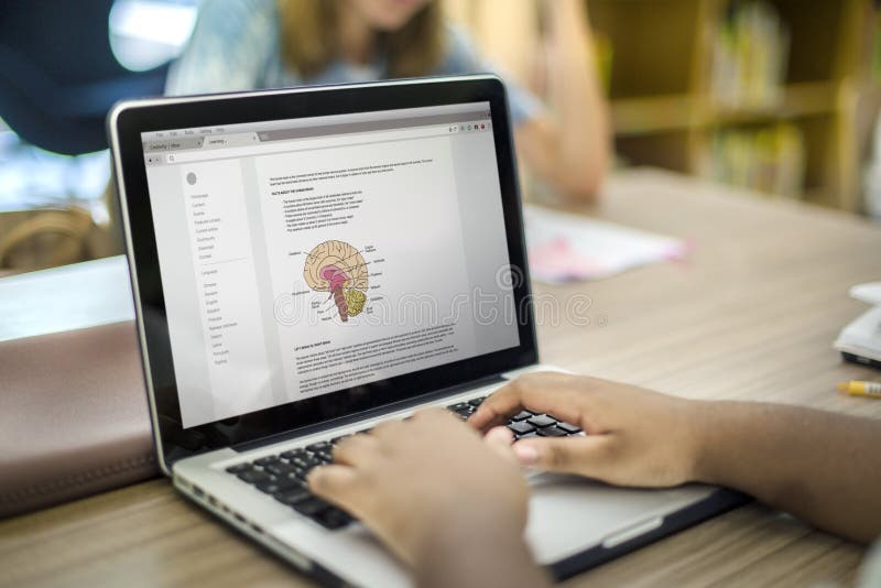 Hands Using Laptop about Biology Science in Library Stock Image - Image ...