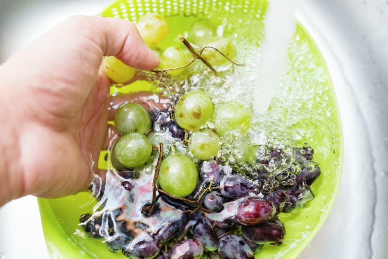 Hands Washing a Fresh Grapes Stock Photo - Image of fresh, kitchen ...