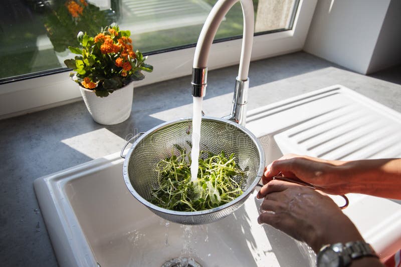 Hands Washing Fresh Green Leafy Vegetables in Colander Stock Image ...