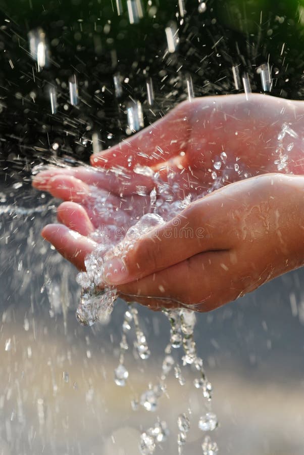 Hands and water stock photo. Image of concept, nature - 2881576