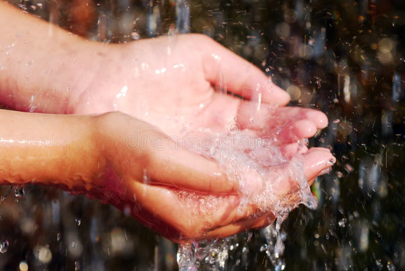 Hands and water stock photo. Image of palms, balance, clean - 2900882