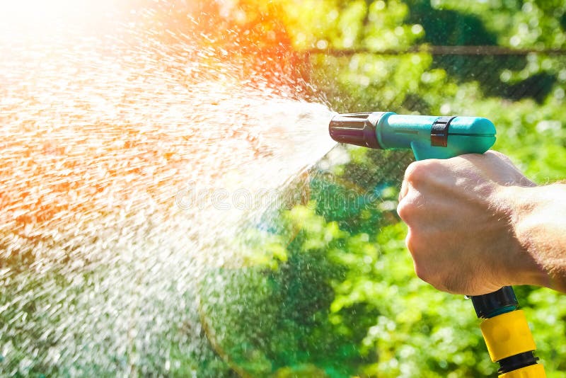 Hands Watering a Young Plant Stock Image - Image of detail, growth ...