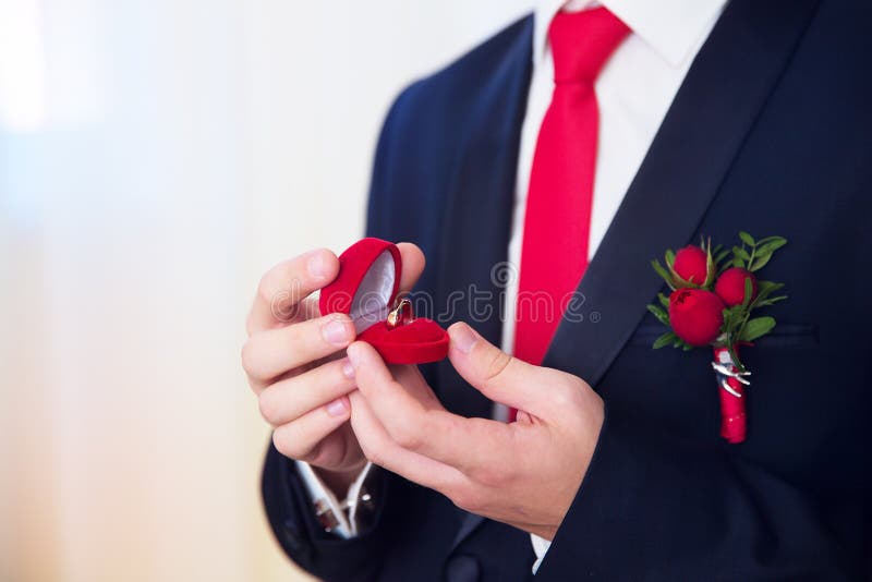 Hands of Wedding Groom Getting Ready in Suit. the Groom Holds Th Stock ...