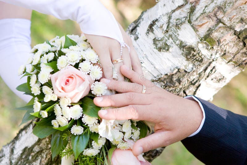 Hands with wedding rings stock photo. Image of husband - 4804614