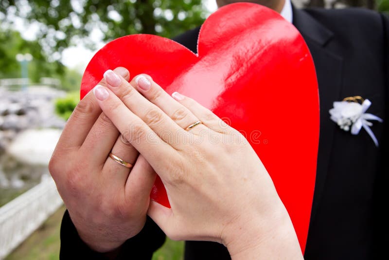 Hands with wedding rings stock image. Image of adults - 67919249
