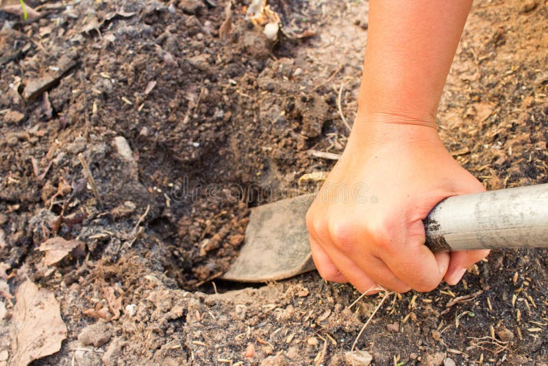 Hands Were Digging with Spades. Stock Image - Image of plant, gardening ...