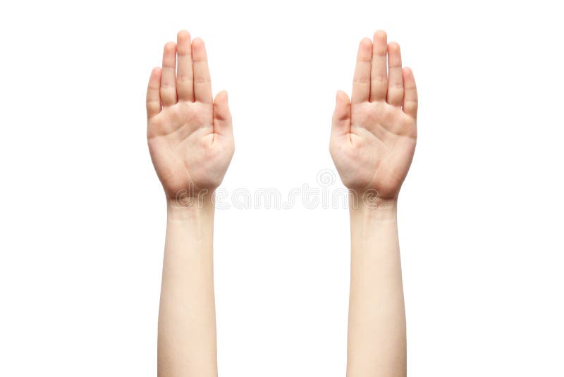 Handshake on a White Background. Body Parts. Hands on a White ...