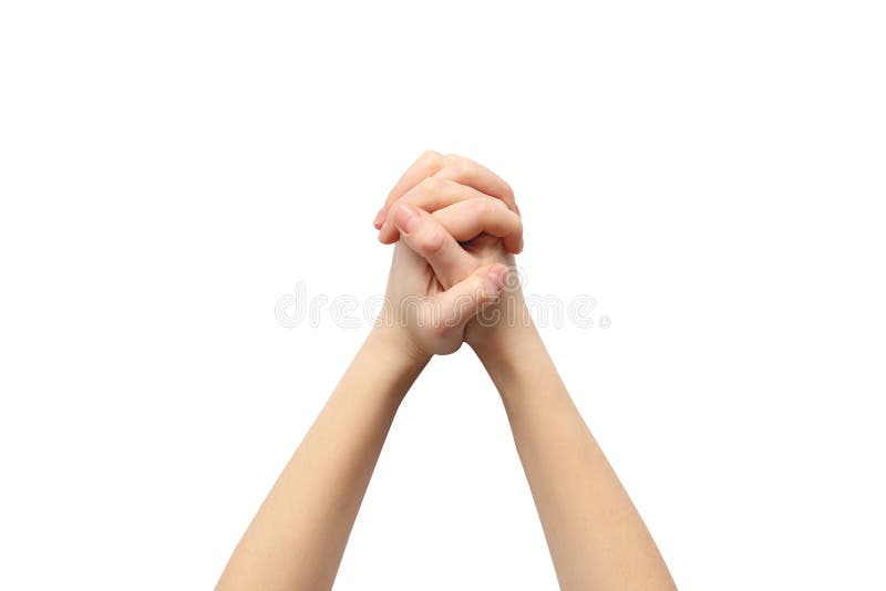 Handshake on a White Background. Body Parts. Hands on a White ...