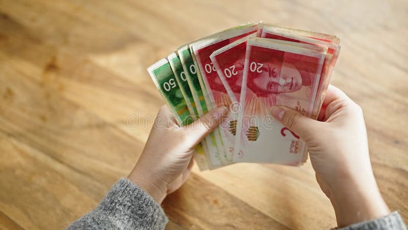Hands of Woman Counting Shekels Banknotes at Room Stock Image - Image ...