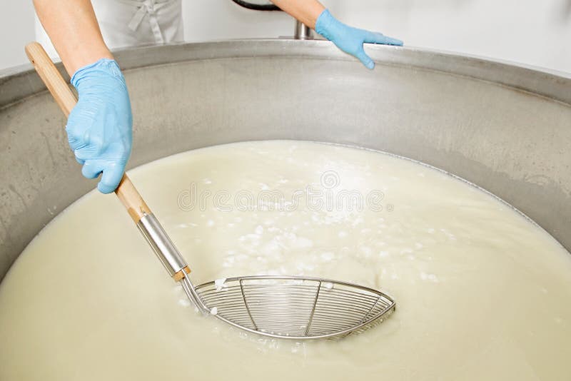 Hands Put the Cheese into Shape Stock Photo - Image of manufacture ...