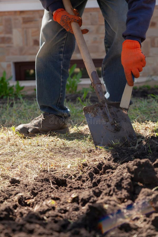Hands in Work Gloves Clean Shovel from Ground Stock Image - Image of ...