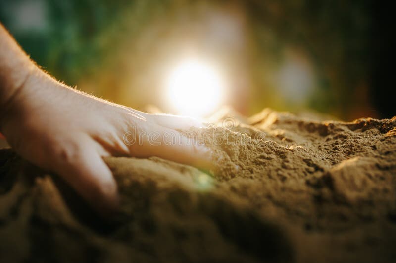 Hands Working with Soil in Nature Under Warm Sunlight during Evening ...