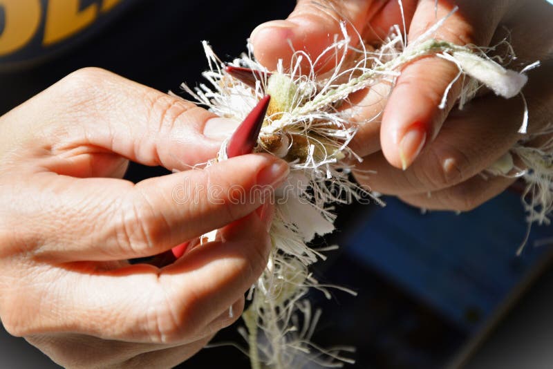 Hands Working Thread Knitting Sun Stock Photos - Free & Royalty-Free ...