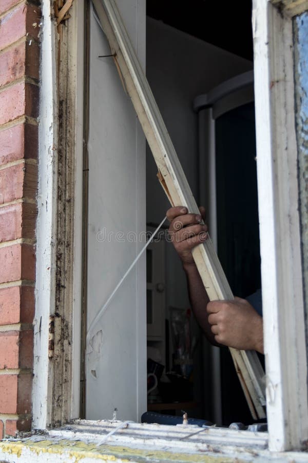 Hands of Workman Pulling Part of Old Wooden Window from Out of Brick ...