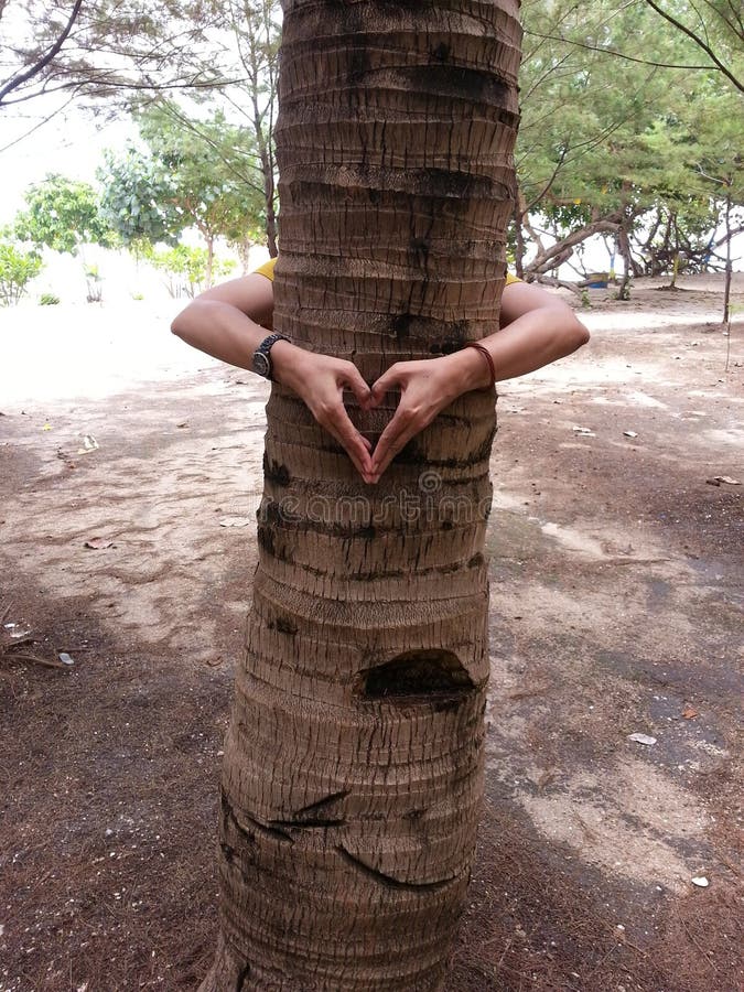 Hand Wrapped Around Tree Stock Photos - Free & Royalty-Free Stock ...