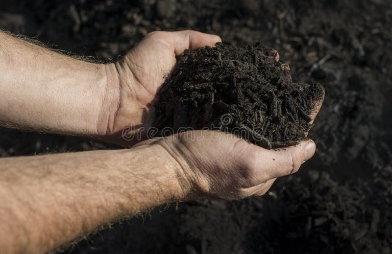 Compost bin stock photo. Image of friendly, compost, family - 34249734