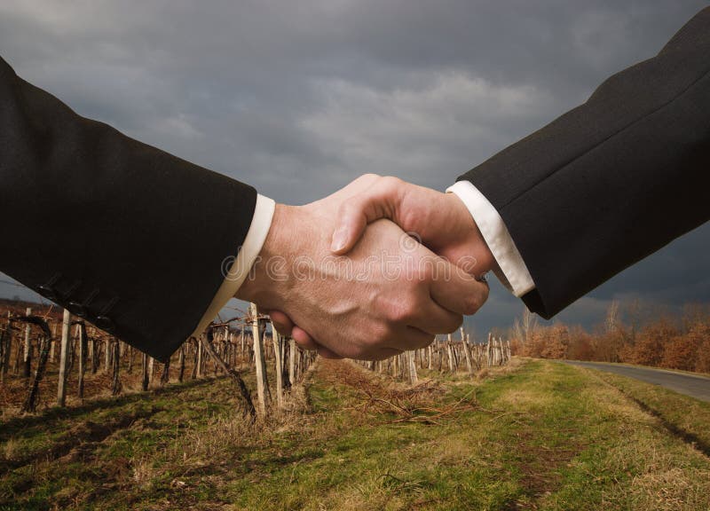 Handshake stock image. Image of concept, hand, hands, palm - 2110503