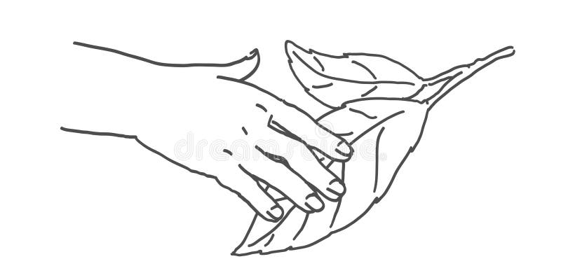 Handshake Hand with Leaf. Save Nature Illustration Stock Vector ...