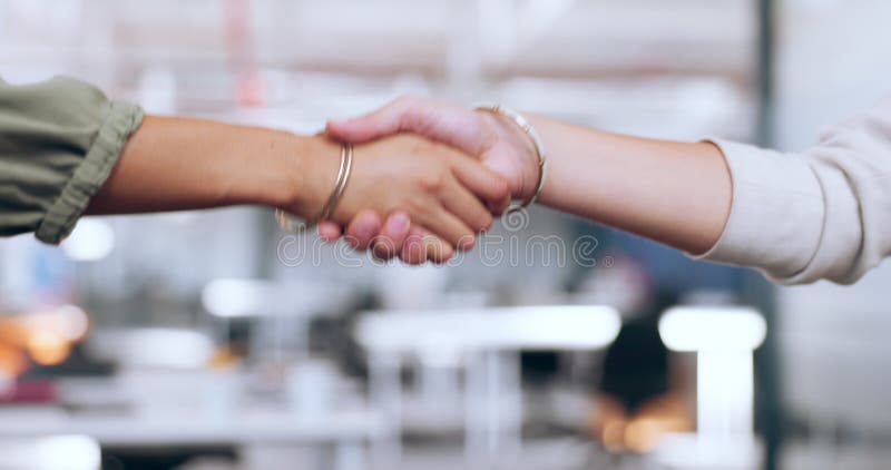 Partnership, Women or Business People Shaking Hands in Park B2b Meeting ...