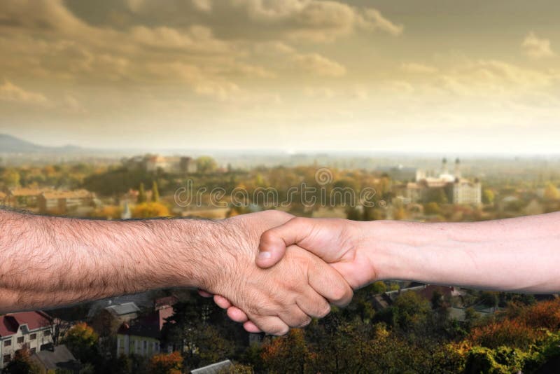 Handshake of two men stock image. Image of deal, gesturing - 42596009