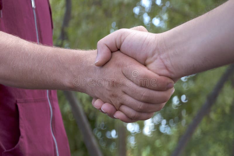 Handshake stock image. Image of communication, congratulating - 102060101