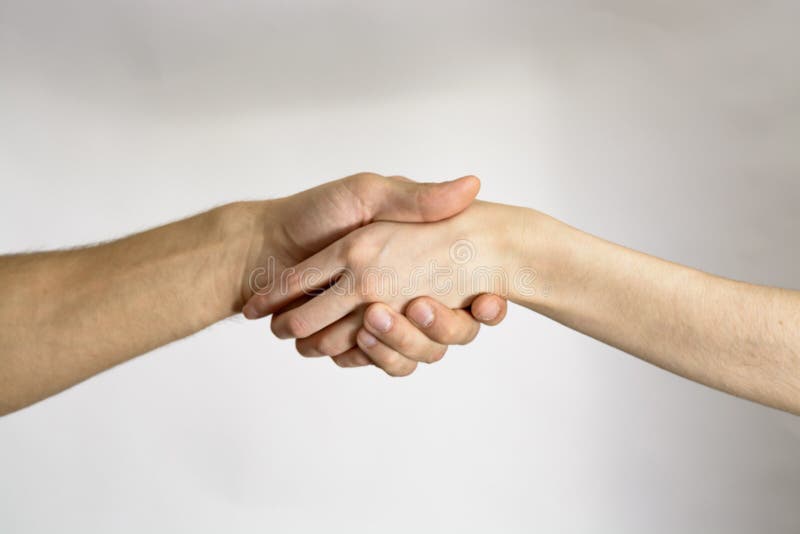 Handshake on White Background Stock Photo - Image of agree, honesty ...