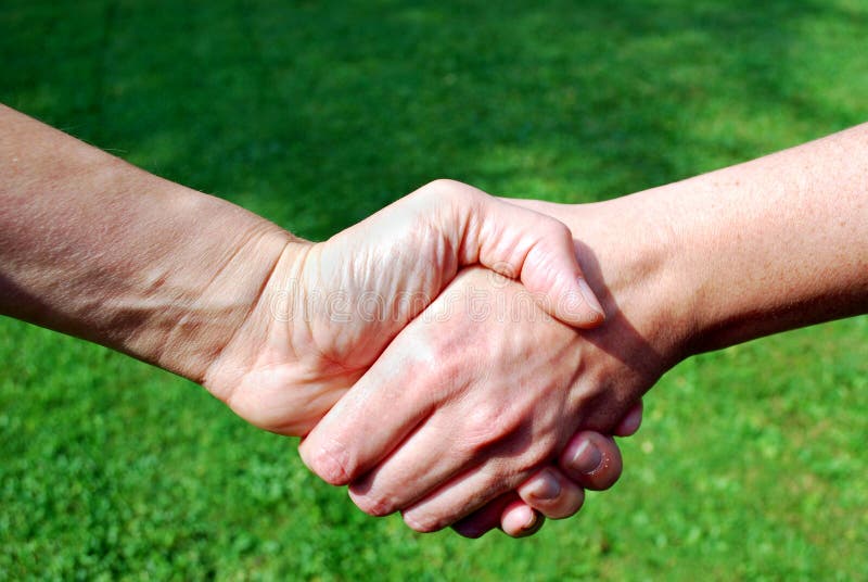 Handskakning arkivfoto. Bild av lagarbete, kvinnor, solljus - 11204876