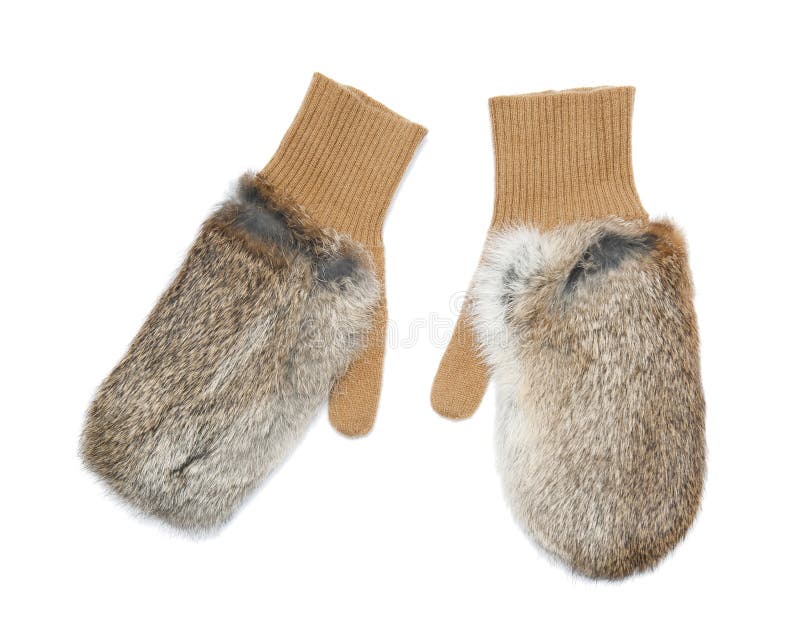 Handskar fotografering för bildbyråer. Bild av glasera - 52640779