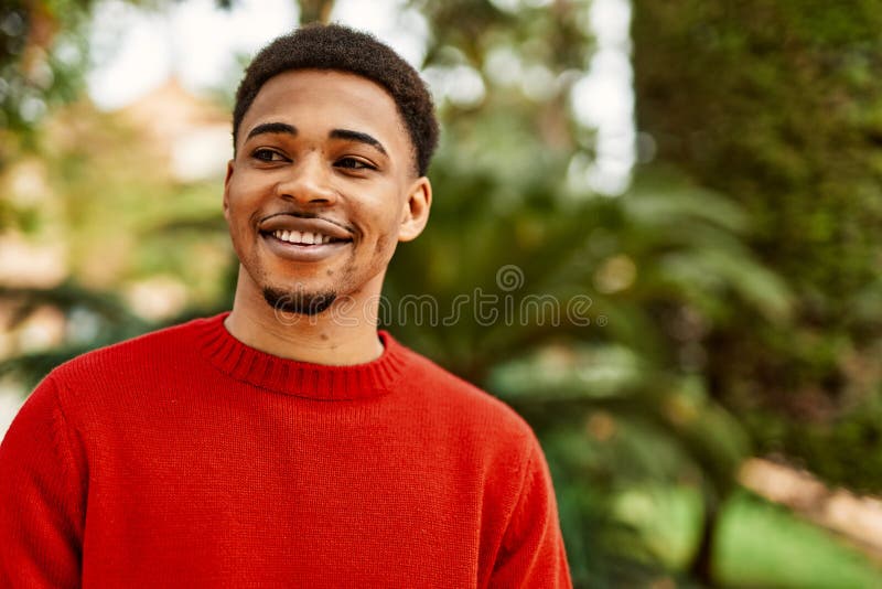 Handsome African American Man Outdoors Stock Photo - Image of casual ...