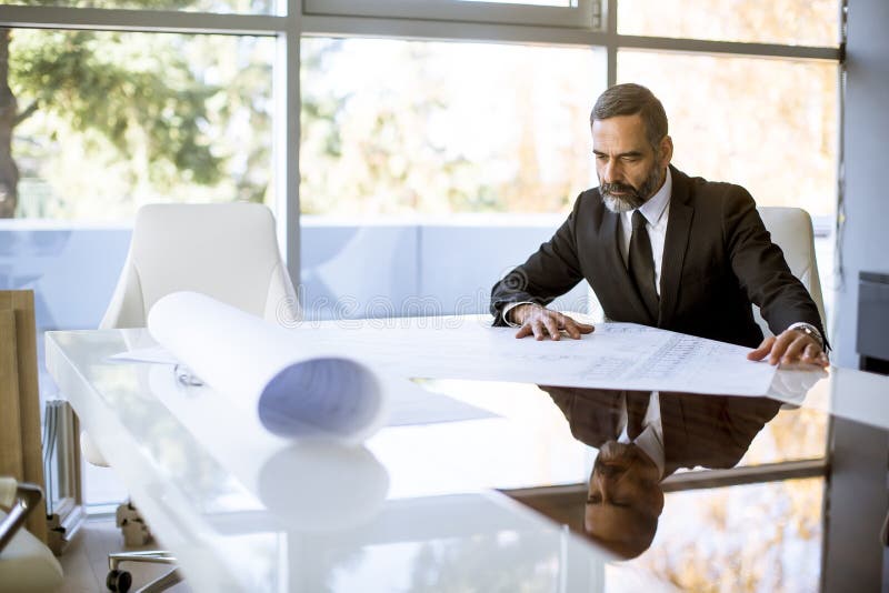 Handsome Architect Checking Plans and Blueprints Stock Photo - Image of ...