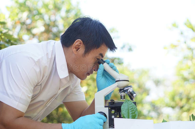 Handsome Asian Man is Doing Science Experiment by Using Microscope ...