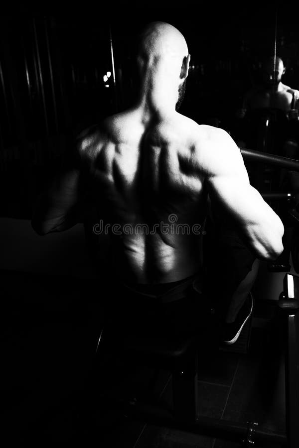 Muscular Man Doing Heavy Weight Exercise for Back Stock Image - Image ...
