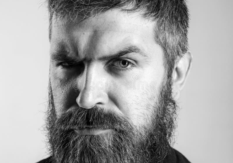 Handsome Bearded Man. Brutal Hipster Boy. Confident Concept. Urban ... Handsome Bearded Man. Brutal Hipster Boy. Confident Concept. Urban ...