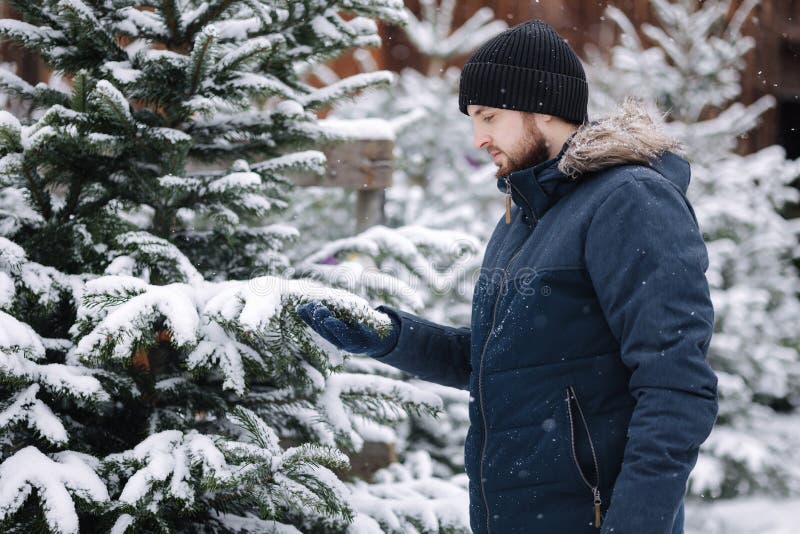 Handsome Bearded Man Chooses a Christmas Tree at the Fair Stock Photo ...