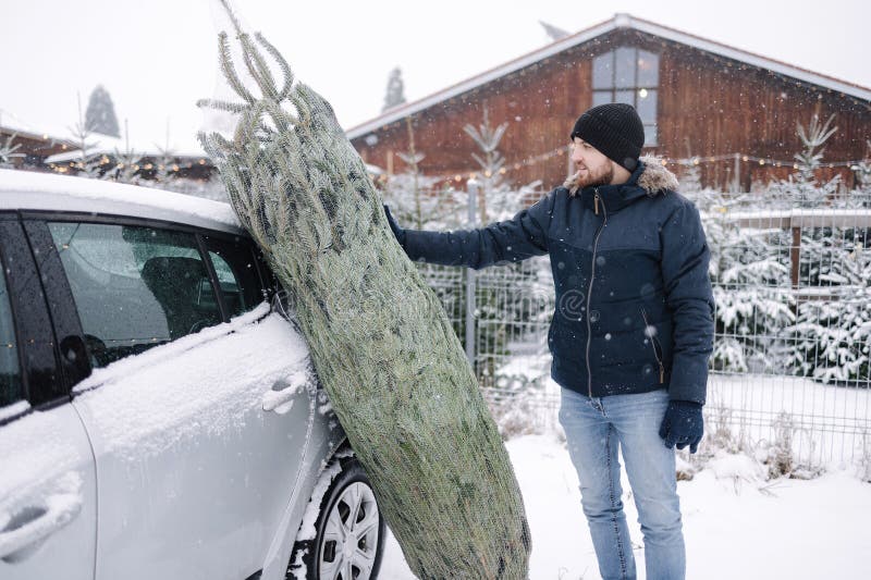 Handsome Bearded Man Stand by the Car and Think How To Put a Christmas ...