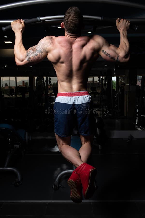 Bodybuilder Exercising Back in Gym Stock Photo - Image of adult ...