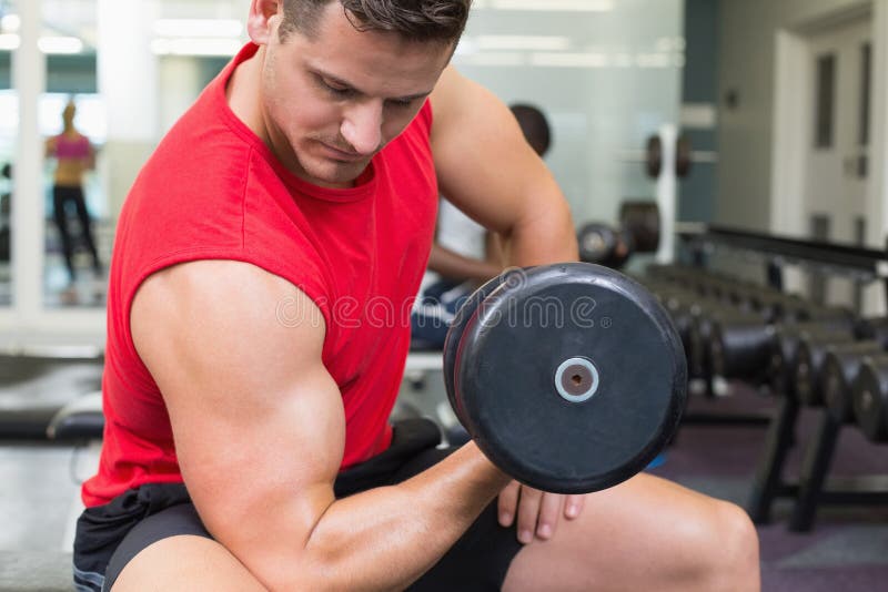 Handsome Bodybuilder Sitting on Bench Lifting Dumbbell Stock Image ...