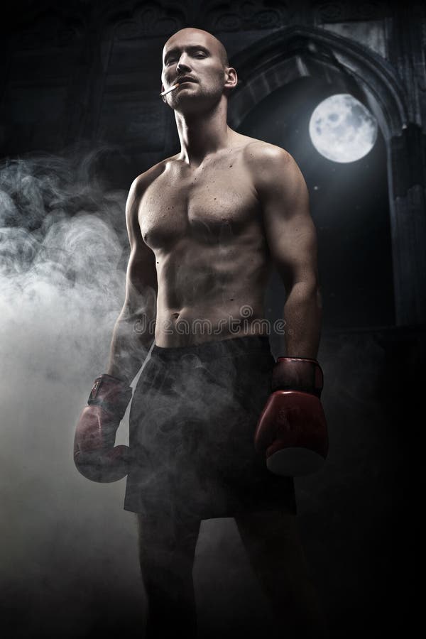 Handsome boxer stock photo. Image of fitness, adult, model - 22835064