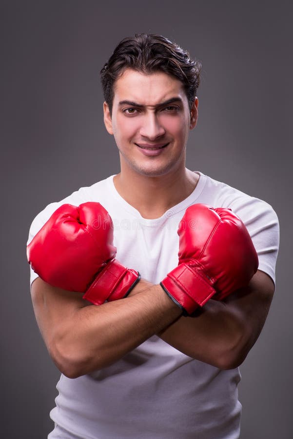 The Handsome Boxer in Boxing Concept Stock Image - Image of funny, grey ...